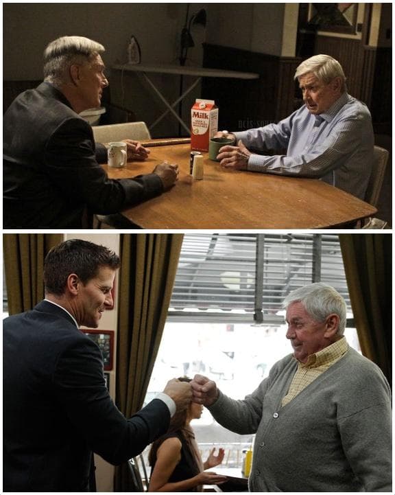 The Greatest Guest Stars on NCIS, Ranked