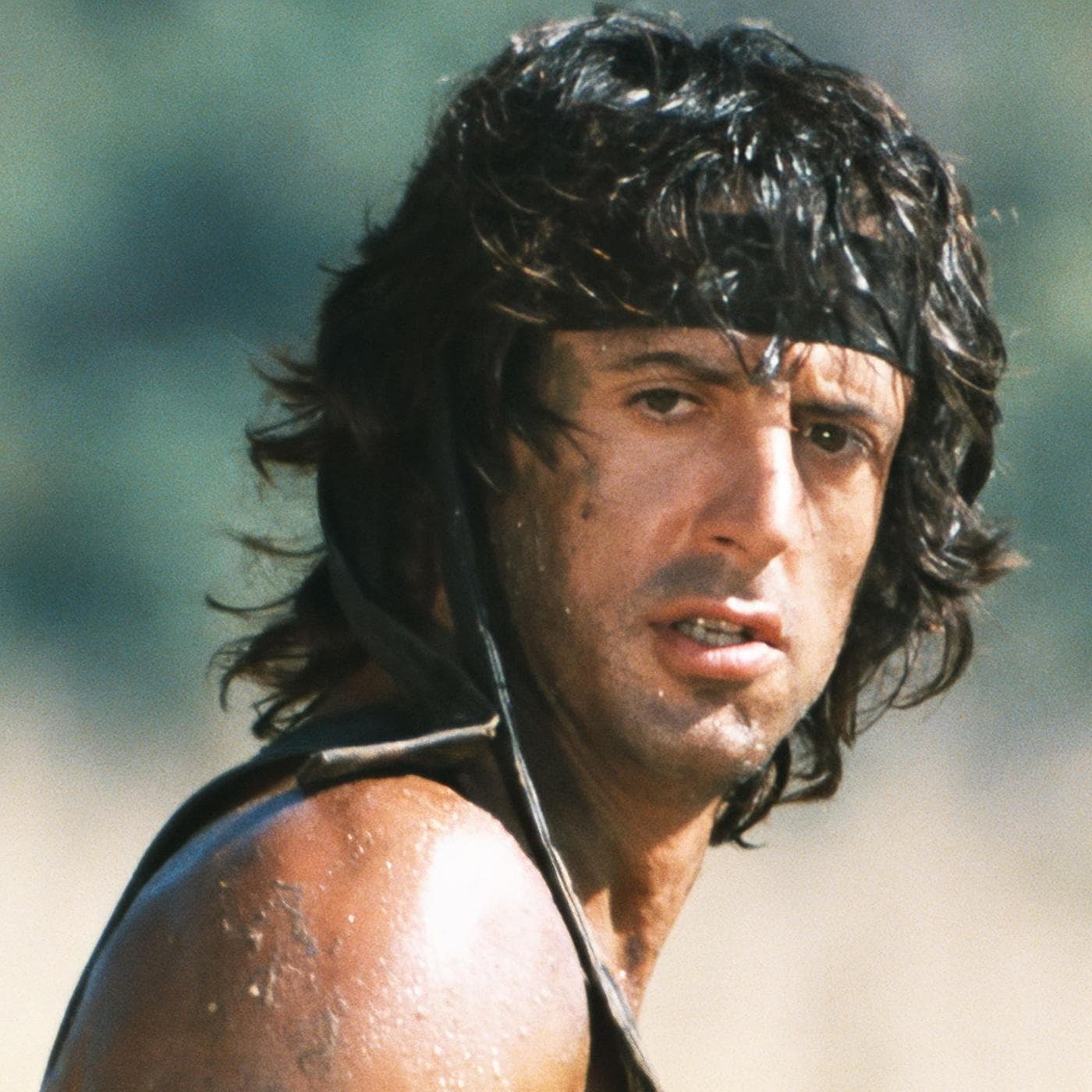 The 15 Best Sylvester Stallone Movies, Ranked By Fans