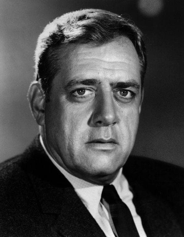 The Best Perry Mason Cast Members, Ranked by Awards and Accolades