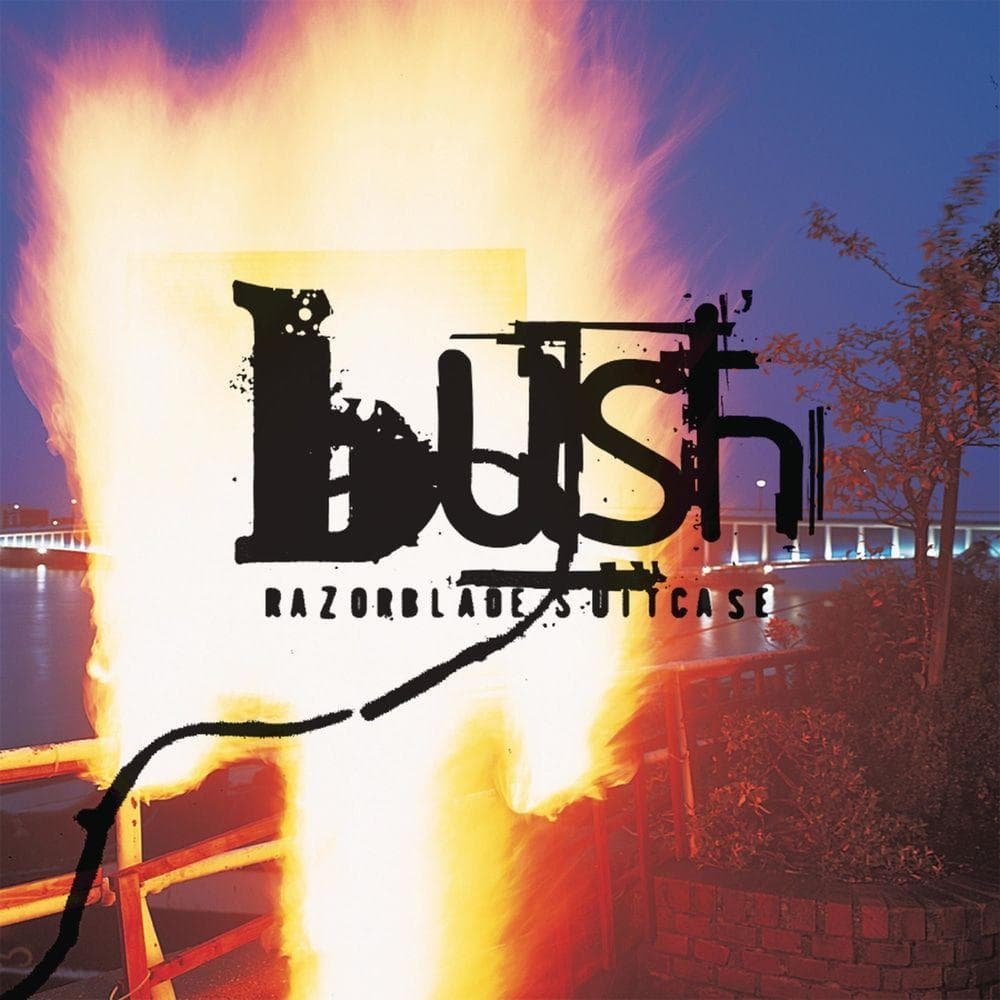 List of All Top Bush Albums, Ranked