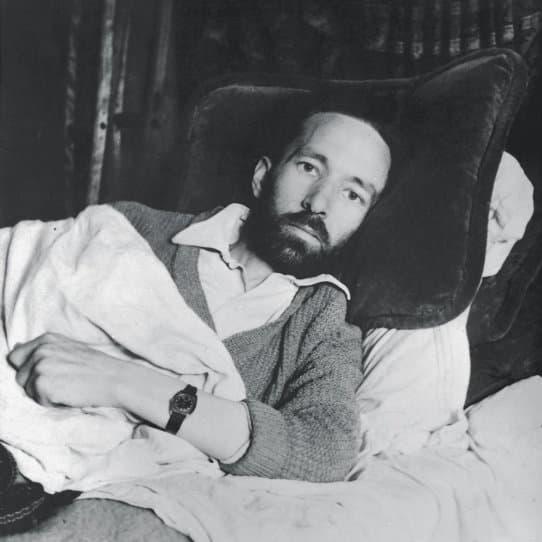 Famous Poets And Writers Who Died Of Tuberculosis | Victims of TB