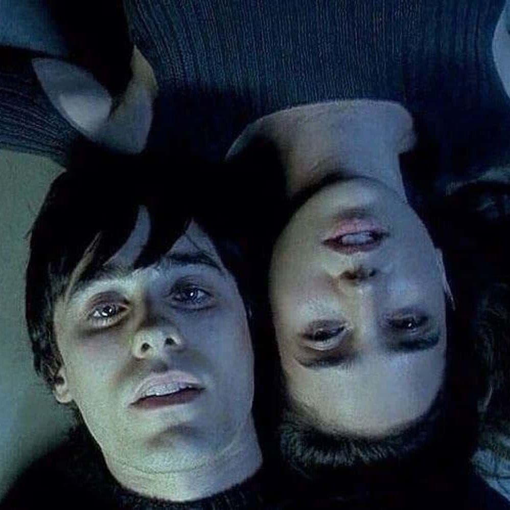 The 30 Best Horror Movies To Watch On Shrooms, Ranked By Fans