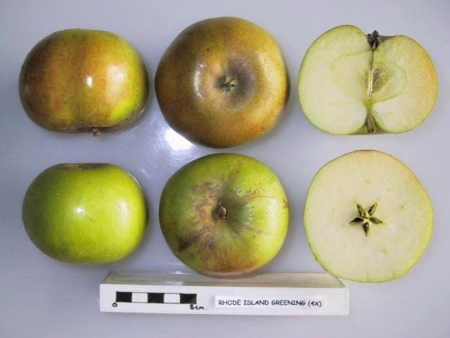 A List Of Every Official US State Fruit