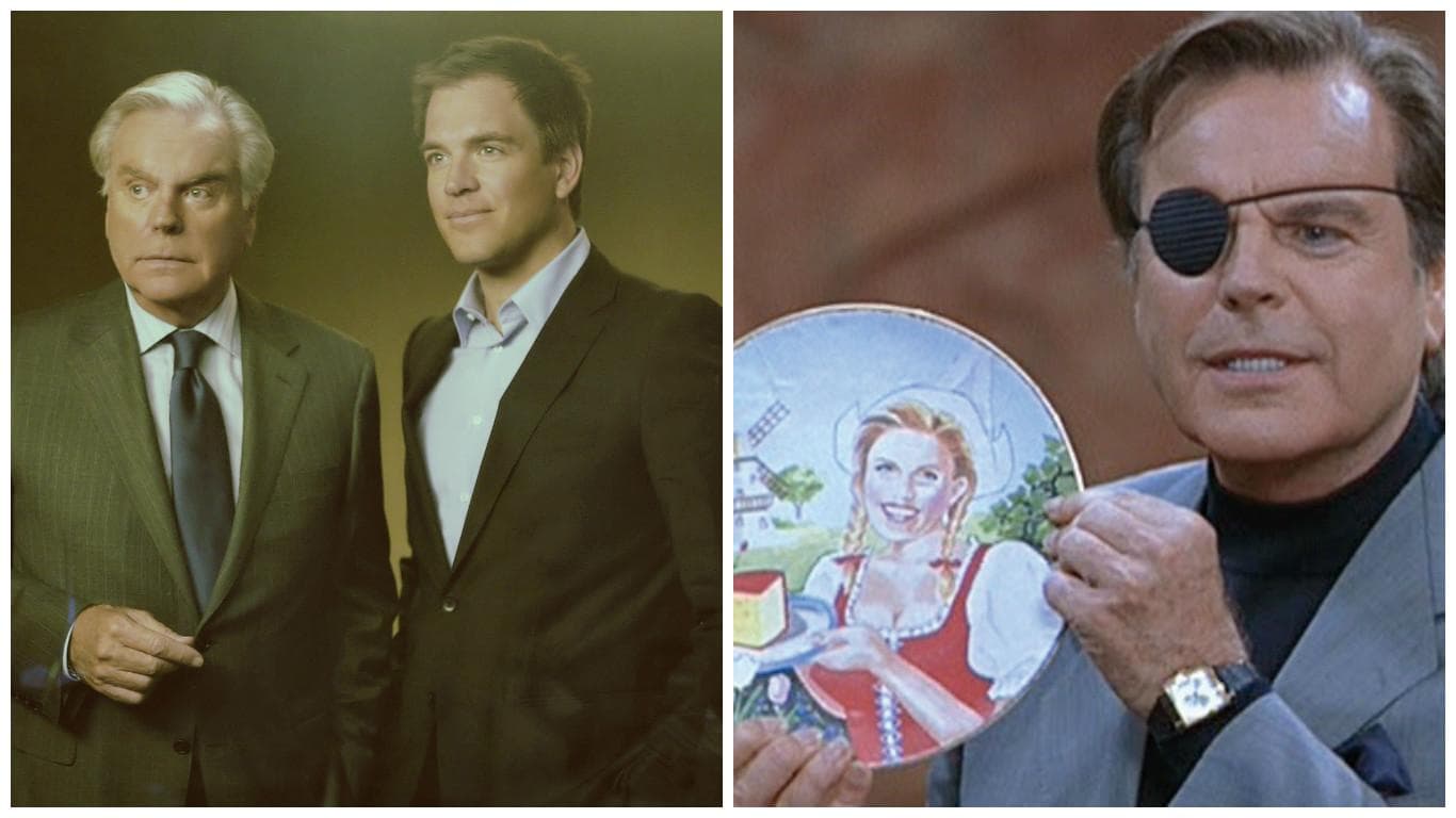 The Greatest Guest Stars on NCIS, Ranked