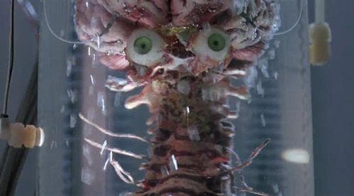 Movies And Shows With Exposed Brains, Ranked By Braininess