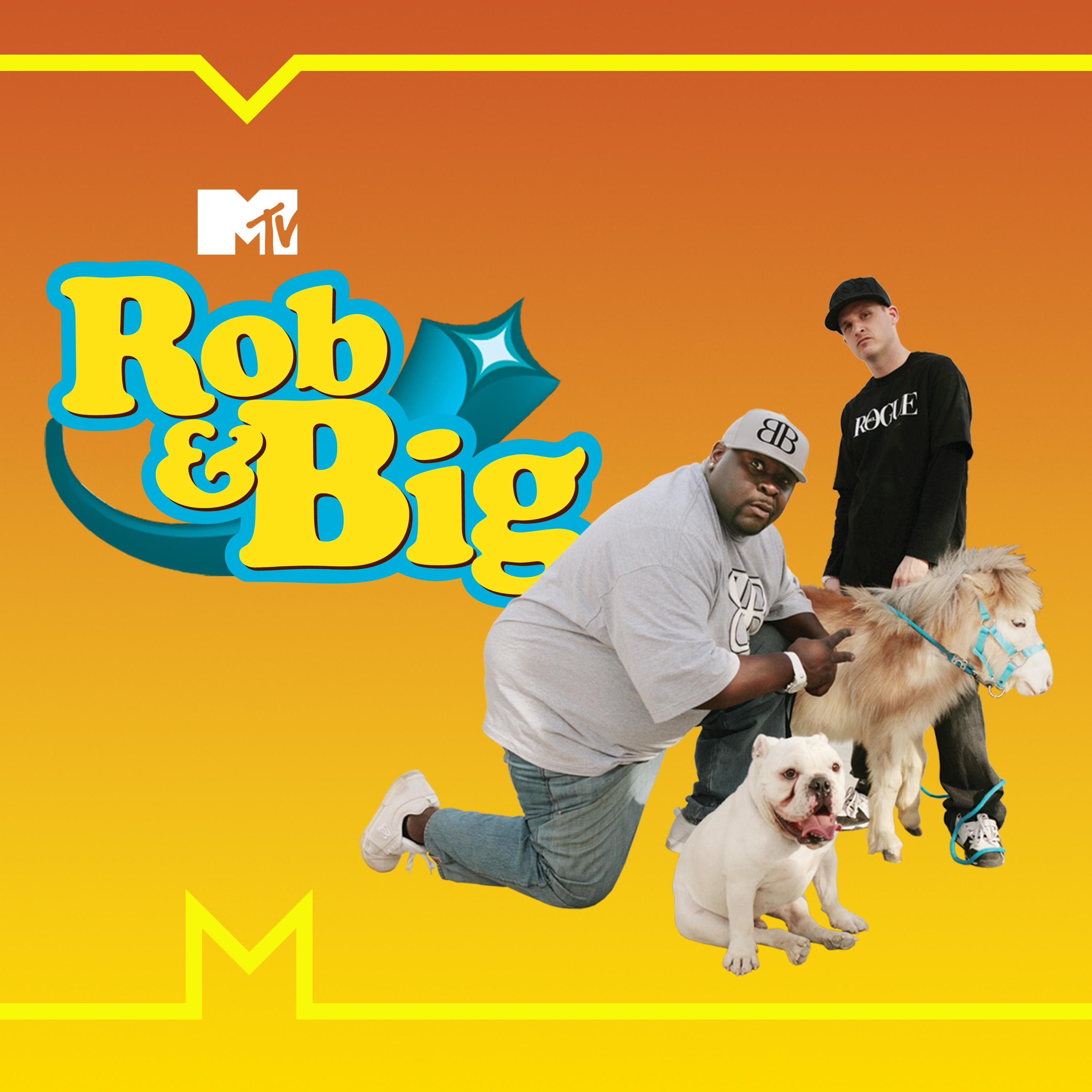 25+ Best Movies & Shows Like 'Ridiculousness'