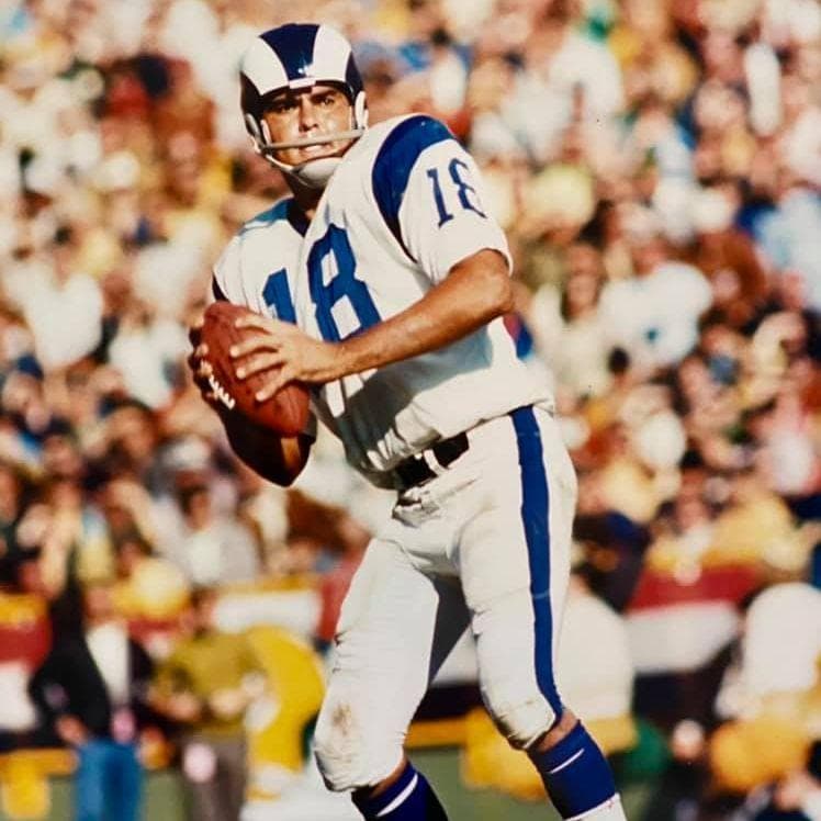 The 30+ Best Asian Football Players In NFL History, Ranked