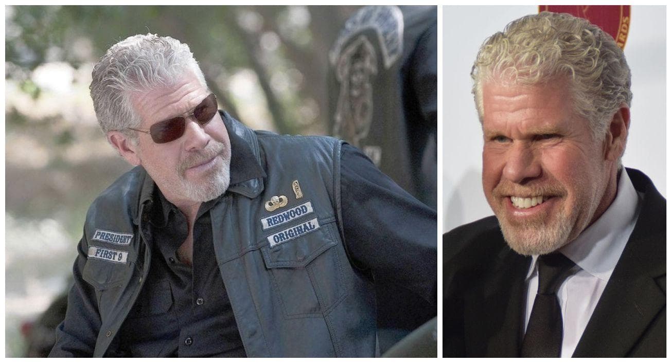 The Sons of Anarchy Cast: Where Are They Now? (16 Photos)
