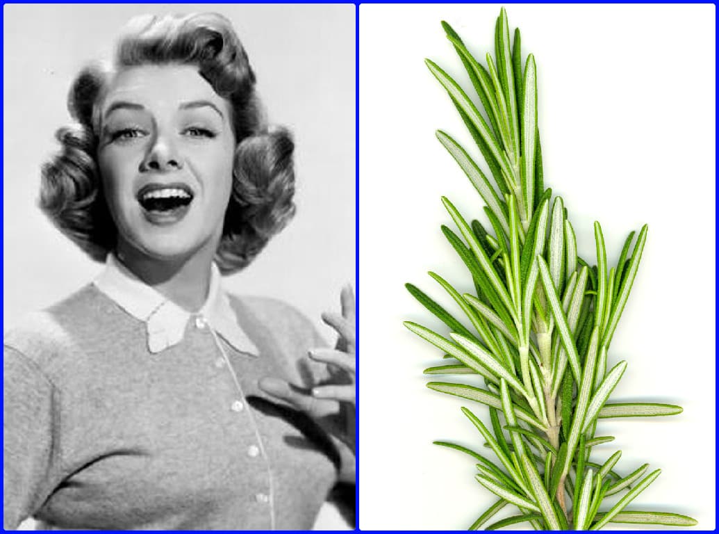 Celebrities with Food Names | Famous People Food Names