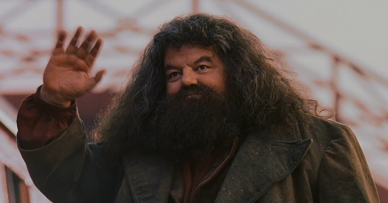 The 15 Best Harry Potter Hogwarts Professors, Ranked By Fans