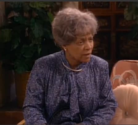 Golden Girls Guest Stars, Ranked from Best to Worst