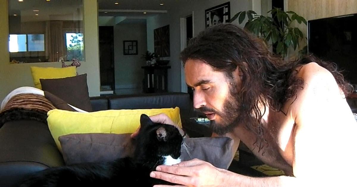 Celebrities Who Have Cats | List of Famous Cat People