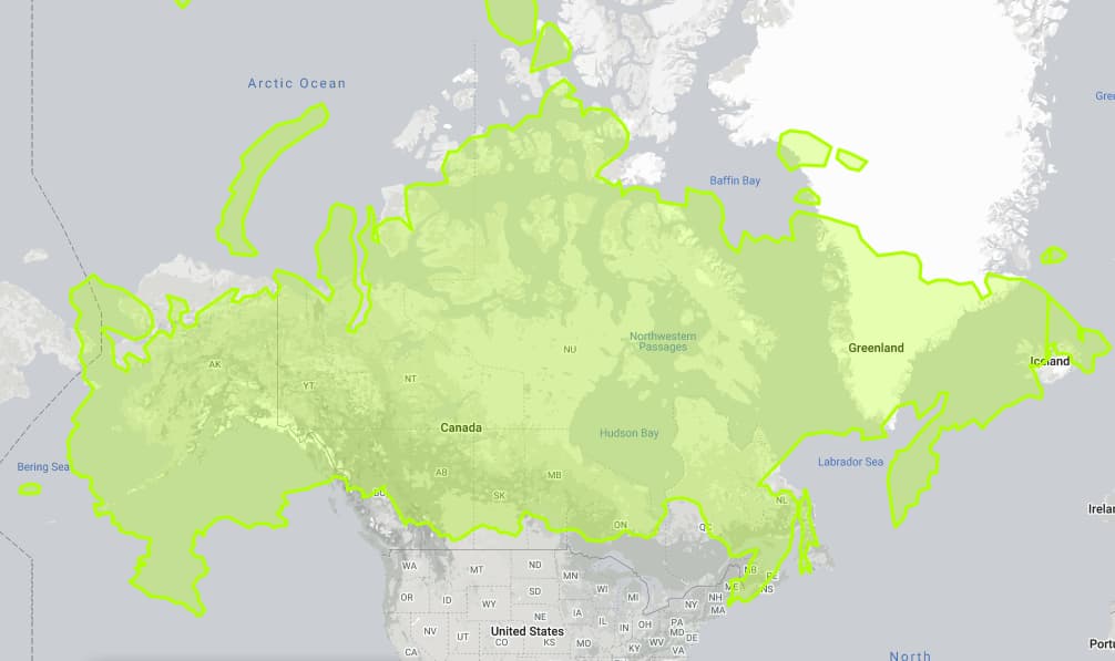 True-Size Map Comparisons That Change How We See The World