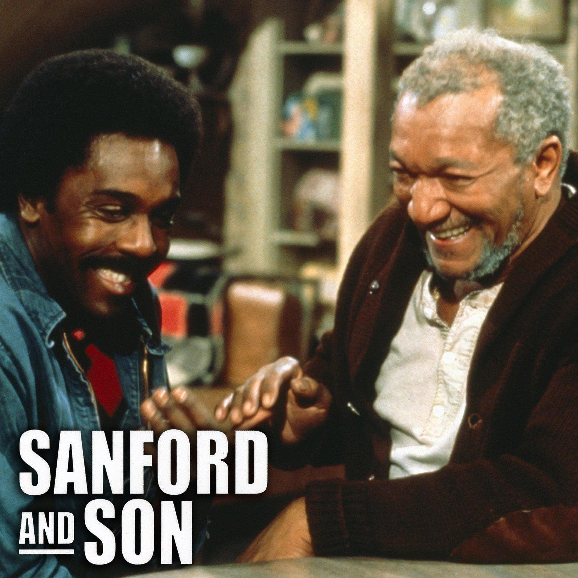 The Best '70s Black TV Shows, Ranked By Fans