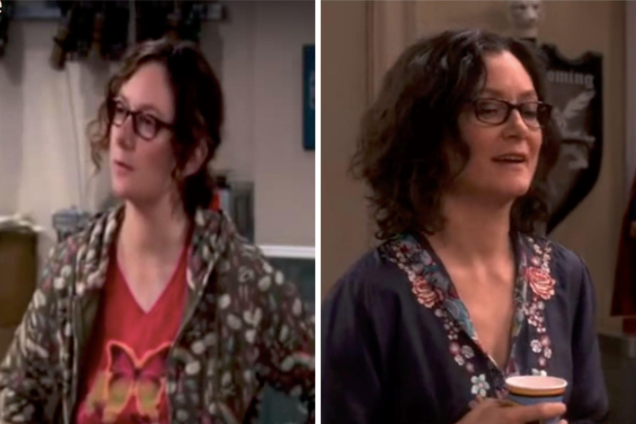 How the Cast of The Big Bang Theory Aged from the First to Last Season