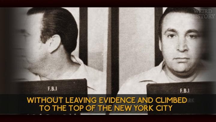 The Most Gruesome and Terrifying Murders Committed by the Mafia