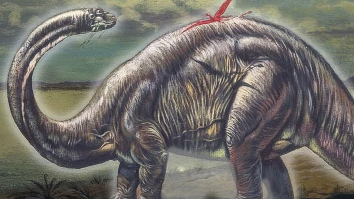 Here Are All The Craziest Dinosaur Facts That Have Been Discovered ...