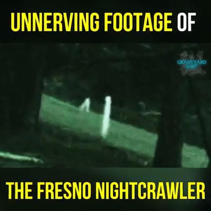 Fresno Nightcrawlers Are Terrorizing The Dark, And They’re Spreading ...